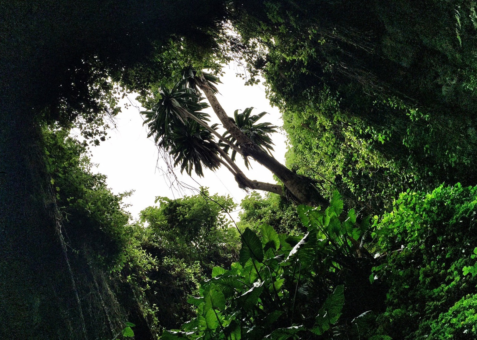 Musanze Caves in Rwanda - Love Uganda Safaris