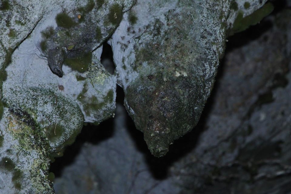 Amabere Ga'nyinamwiru Uganda cultural tours Culture in Uganda Tours